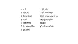 anatomy thorax human title radiologi positioning | PPTX