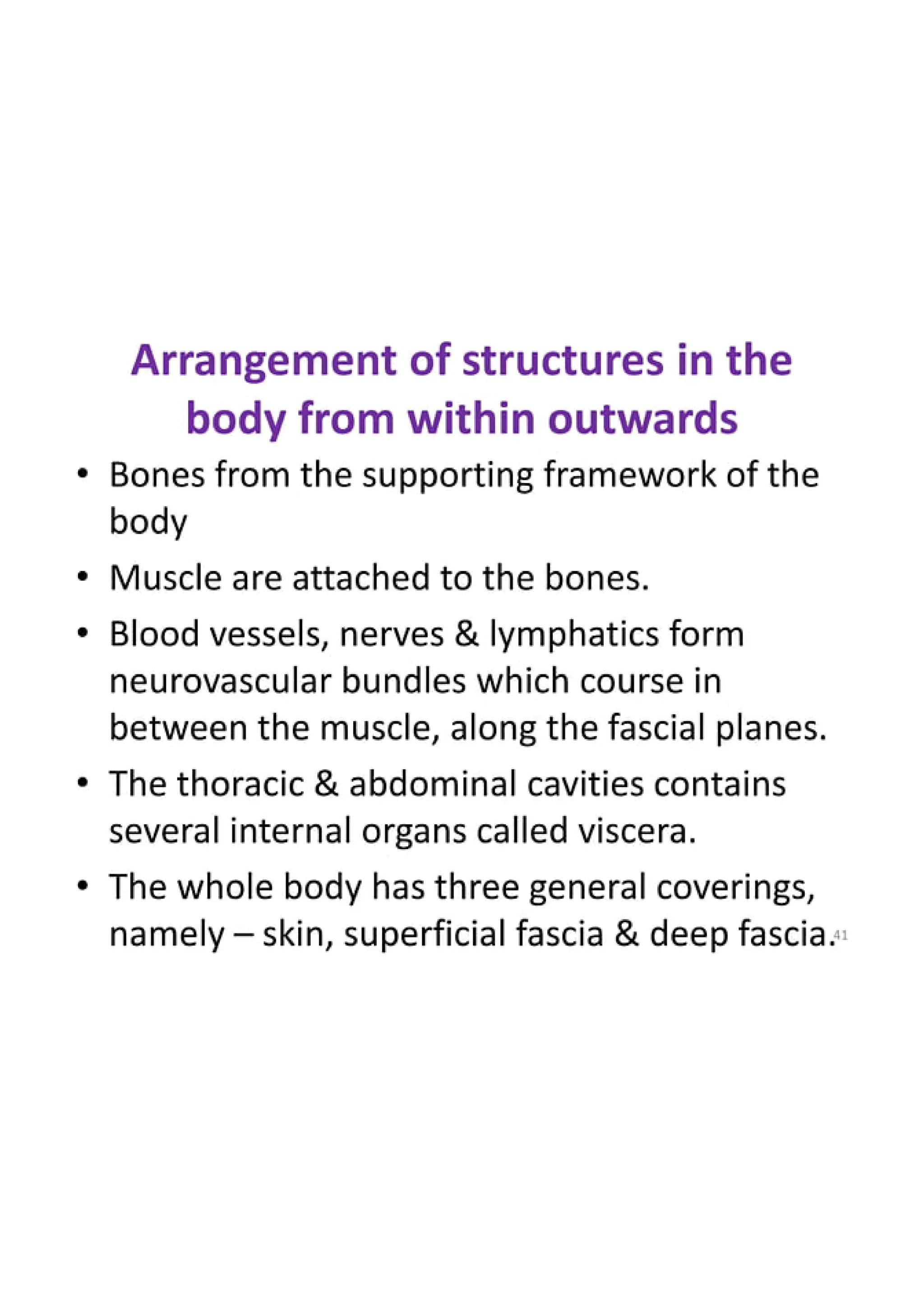 anatomy pdf note. Learn human body & bones | PDF