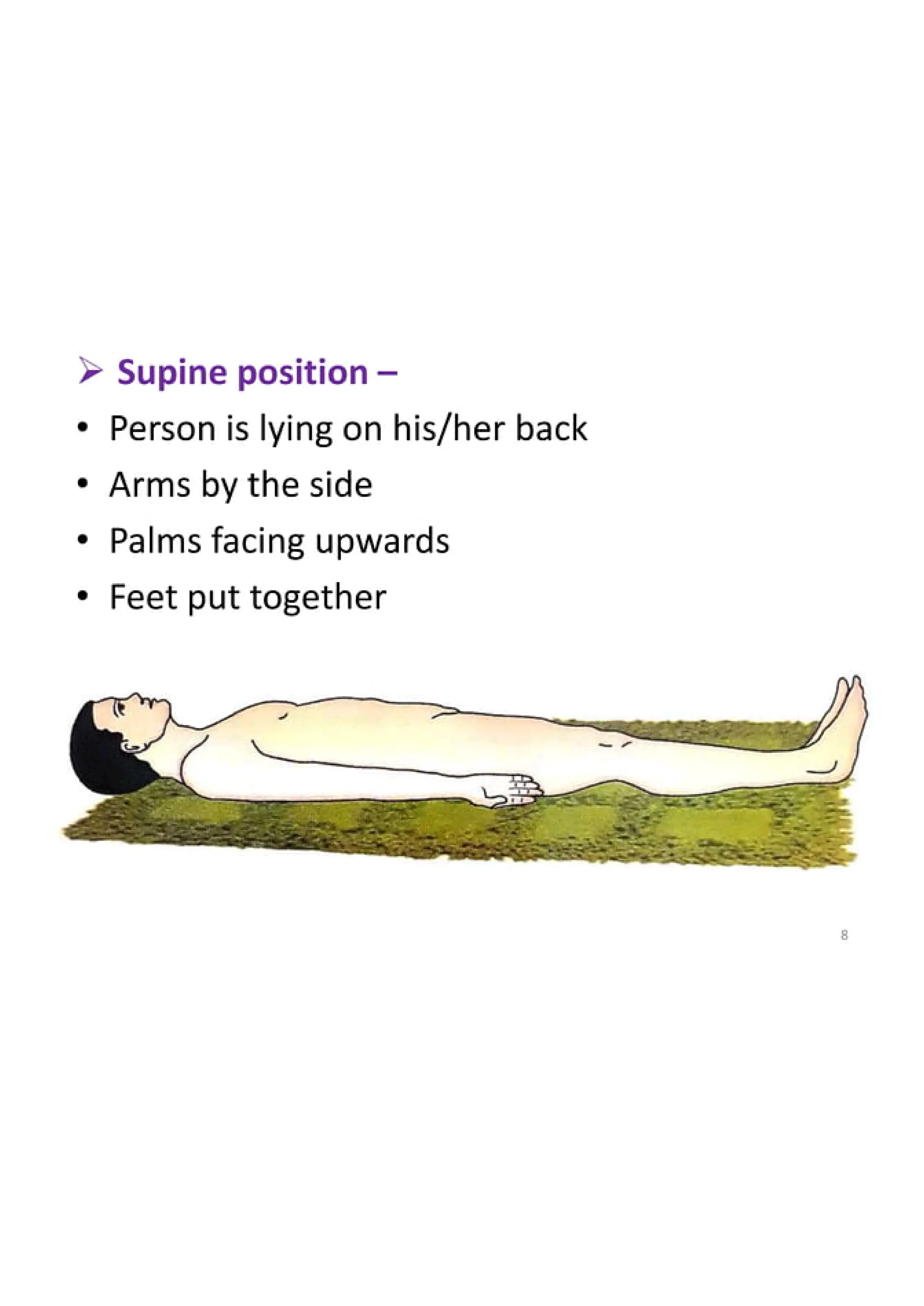 anatomy pdf note. Learn human body & bones | PDF | Free Download