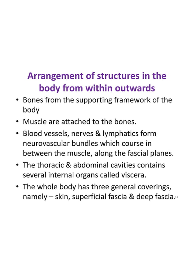 anatomy pdf note. Learn human body & bones | PDF
