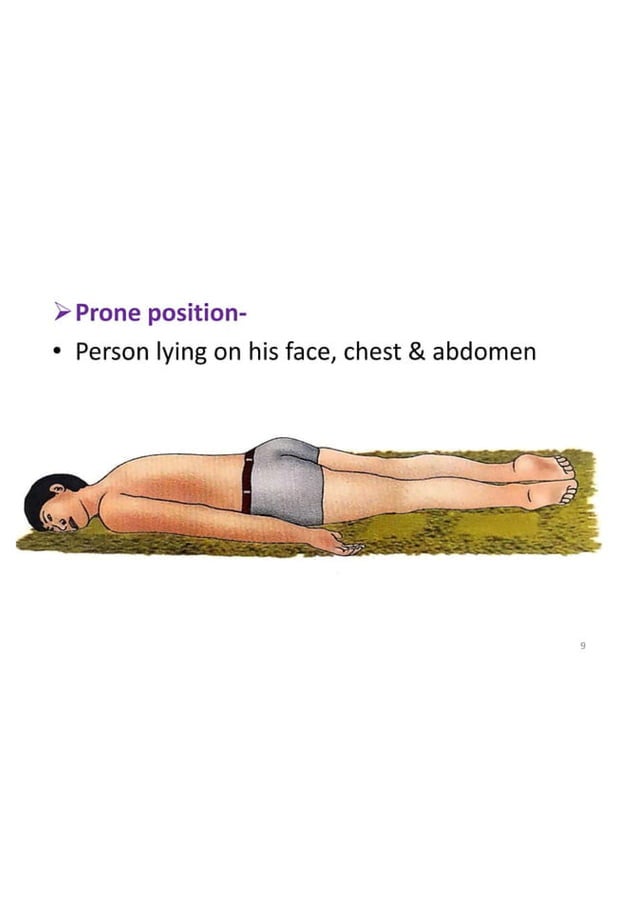 anatomy pdf note. Learn human body & bones | PDF