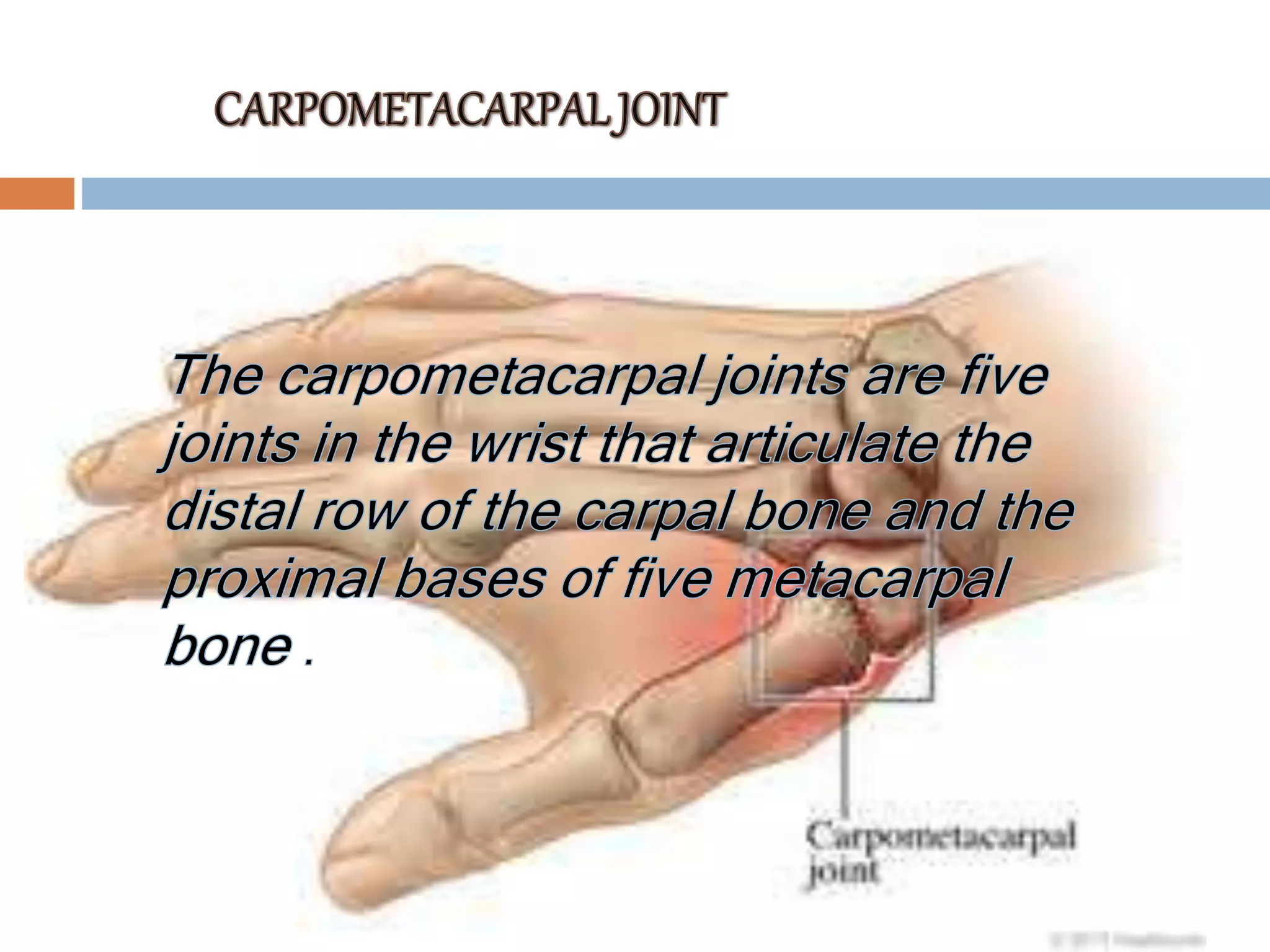 CARPOMETACARPAL JOINTS | PPTX