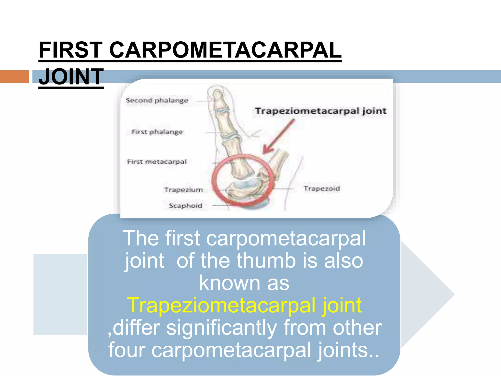 CARPOMETACARPAL JOINTS | PPTX