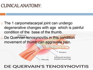 CARPOMETACARPAL JOINTS | PPTX