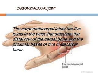 CARPOMETACARPAL JOINTS | PPTX