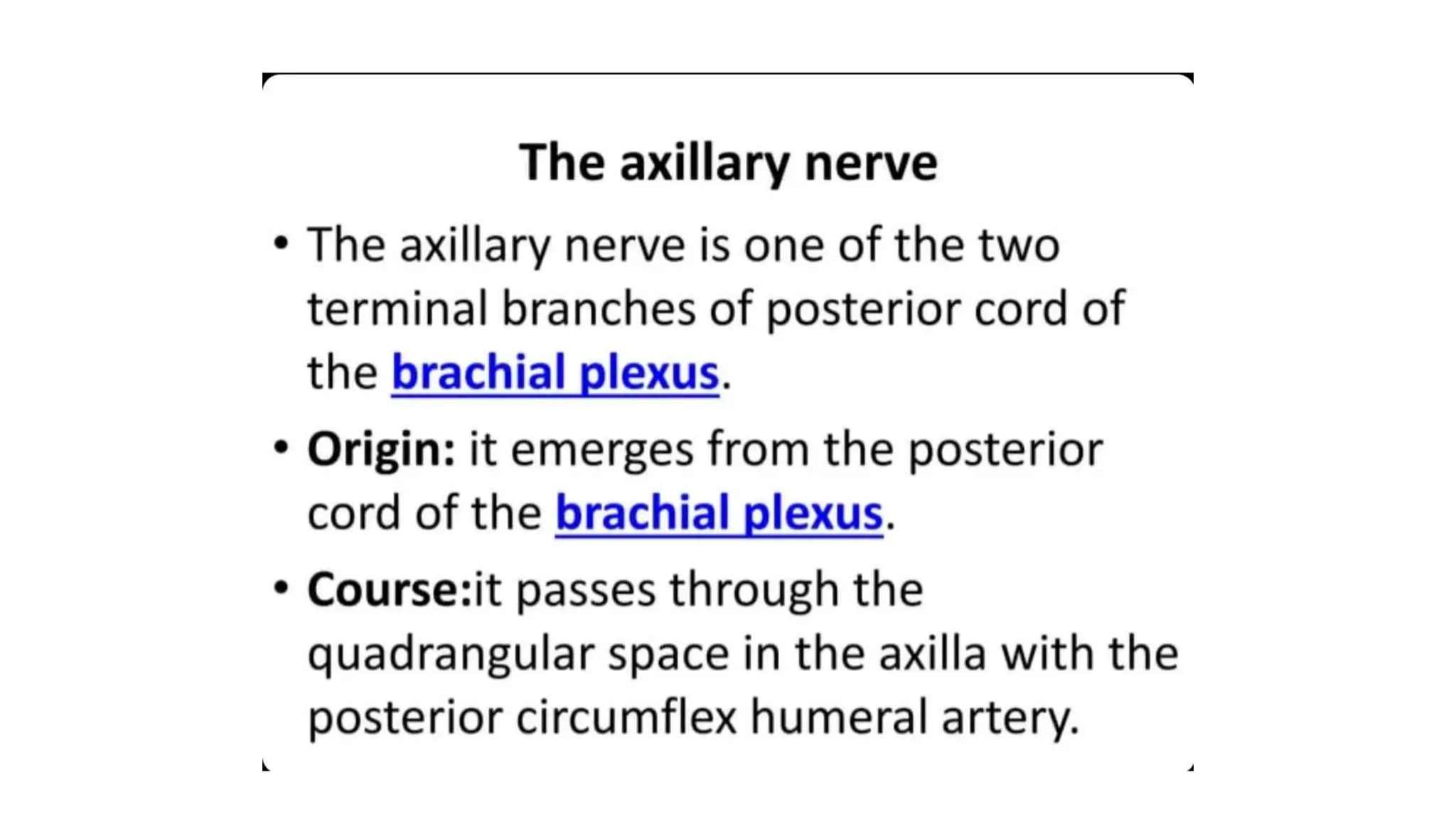 anatomy ppppppppppppppppppppppppppppppppppt | PPT