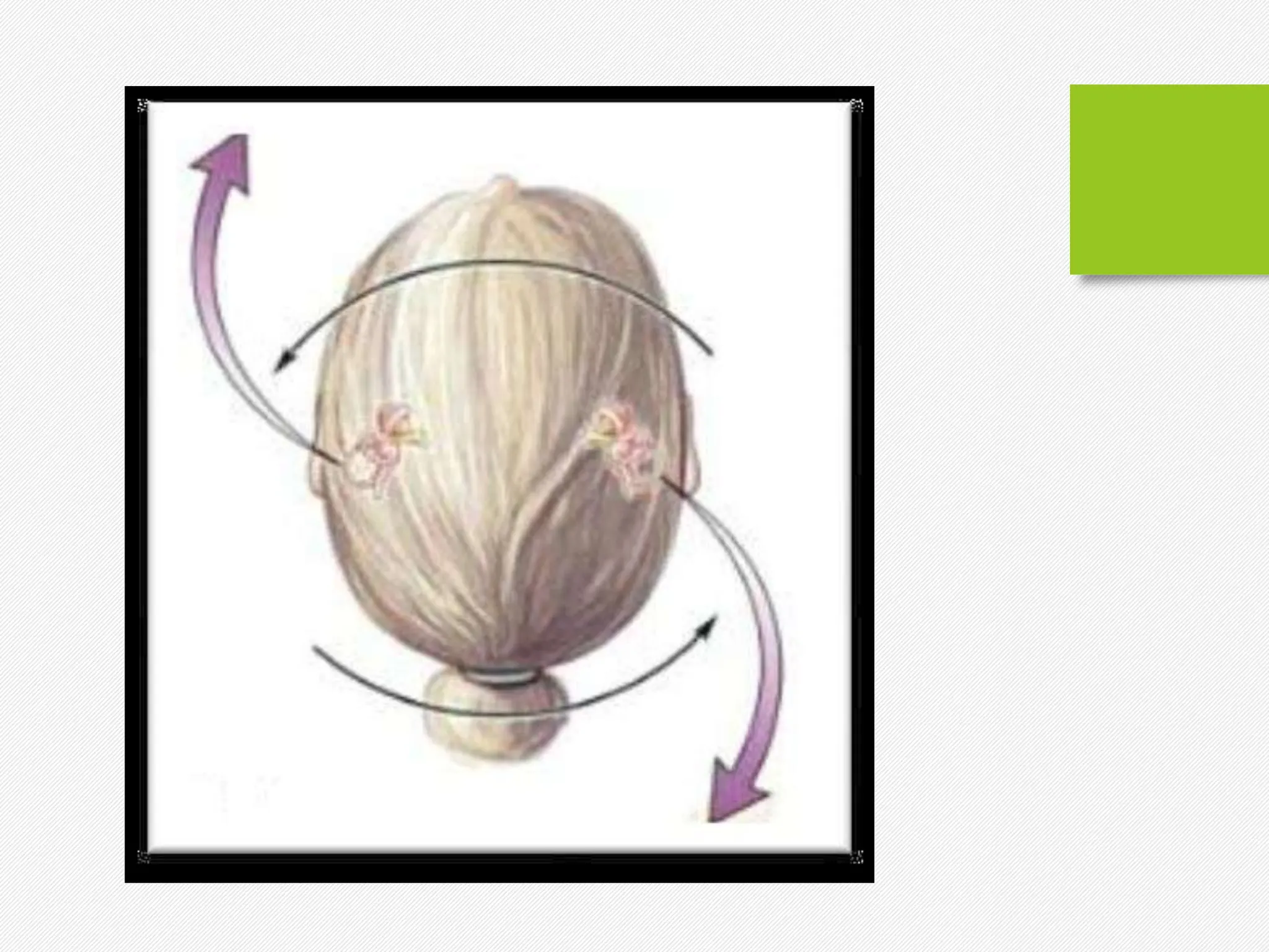 ENT anatomy ear nose throat anatomy and physiology | PPTX | Ear, Nose ...