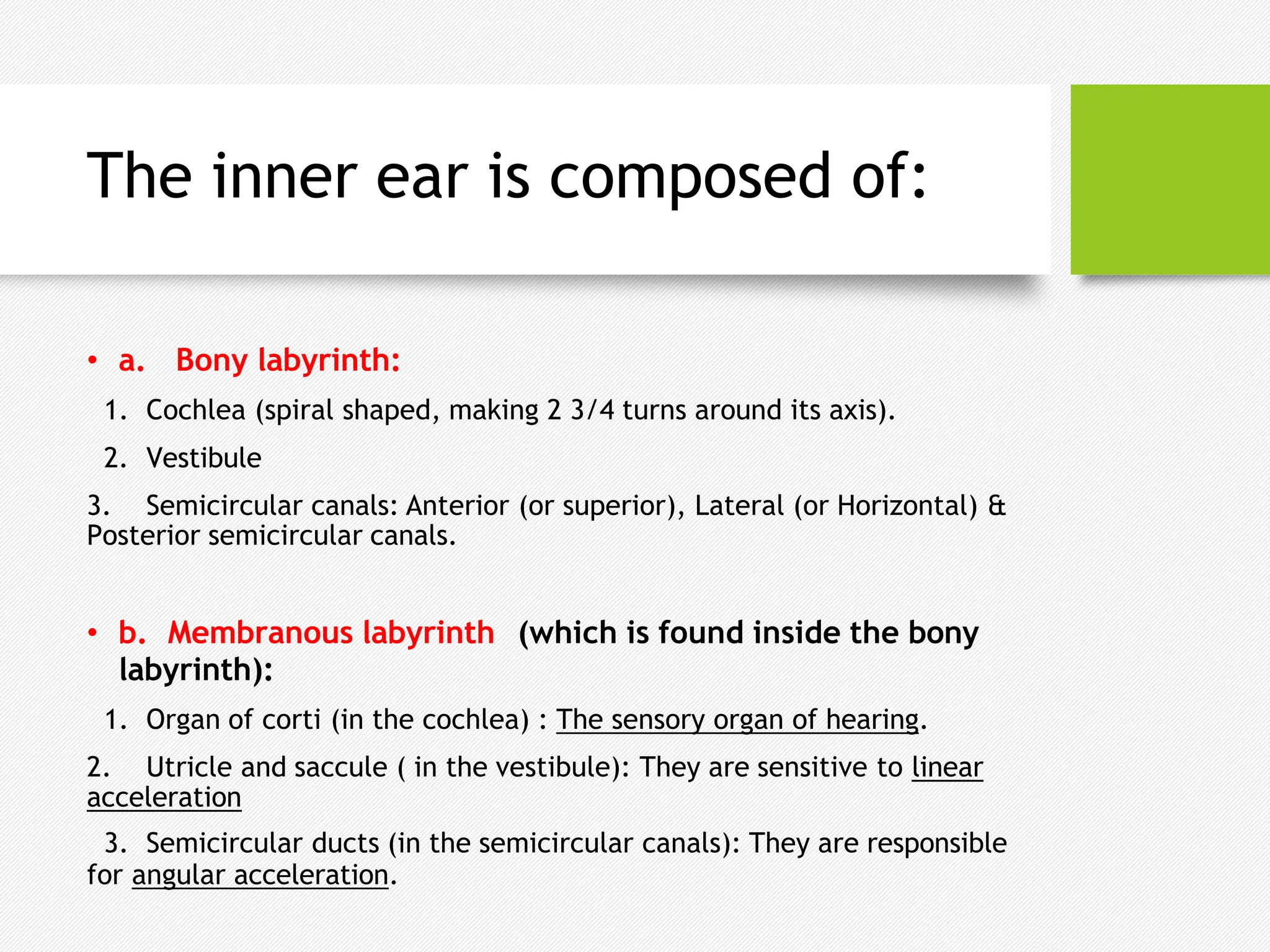 ENT anatomy ear nose throat anatomy and physiology | PPTX | Ear, Nose ...