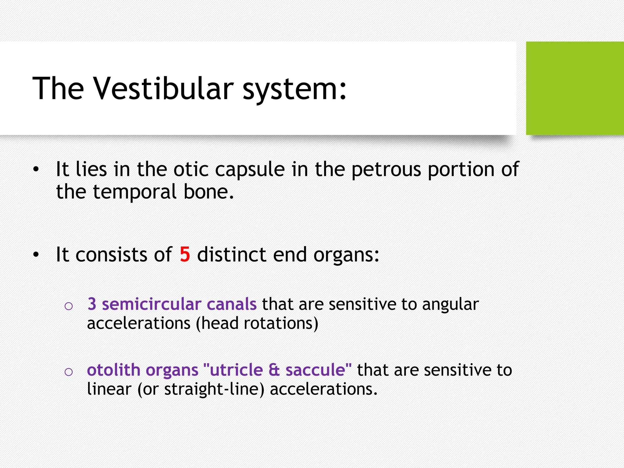ENT anatomy ear nose throat anatomy and physiology | PPTX | Ear, Nose and Throat Conditions ...