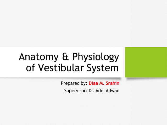 ENT anatomy ear nose throat anatomy and physiology | PPTX | Ear, Nose ...