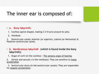 ENT anatomy ear nose throat anatomy and physiology | PPTX | Ear, Nose ...