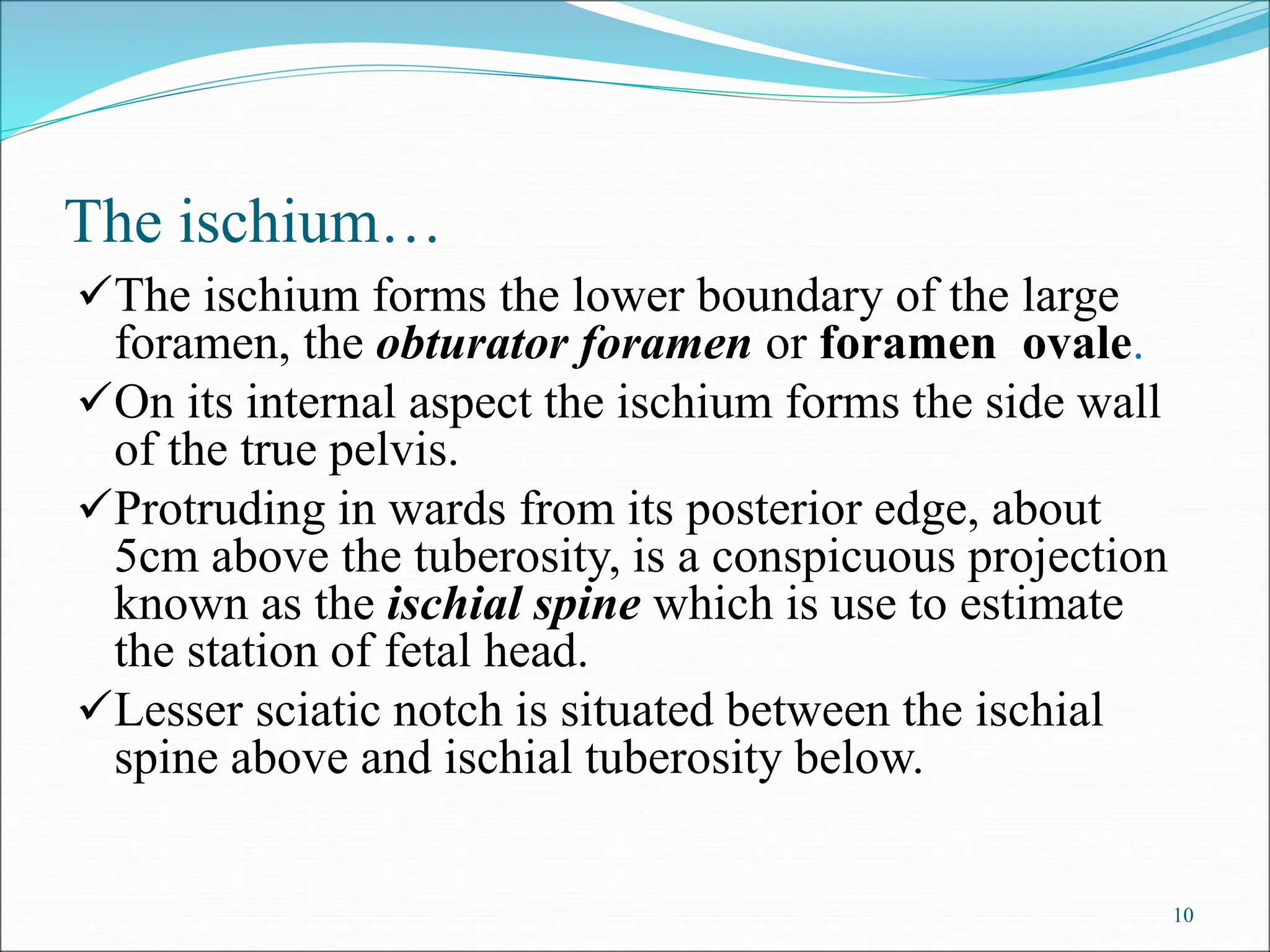 Anatomy main part and detail ppt bre.ppt