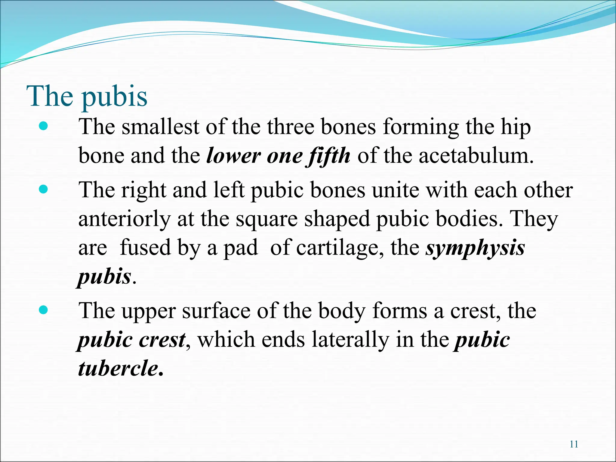 Anatomy main part and detail ppt bre.ppt