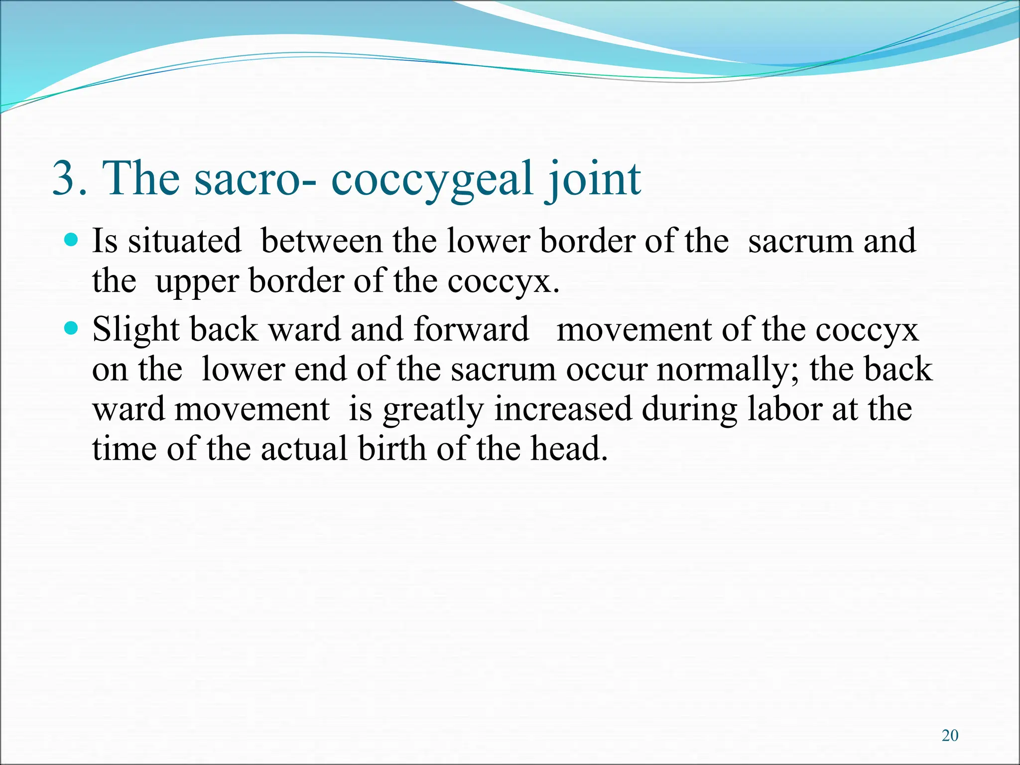 Anatomy main part and detail ppt bre.ppt