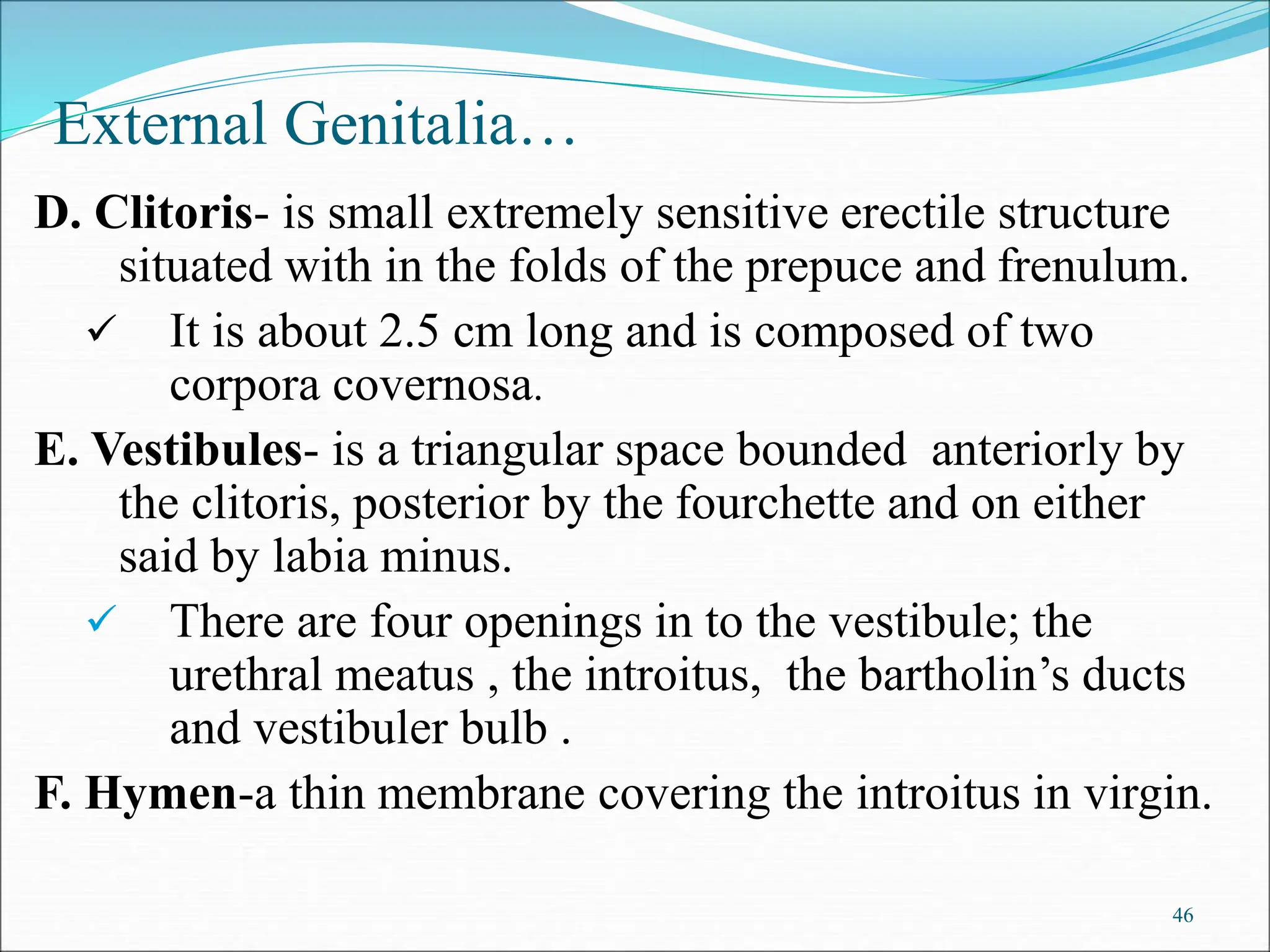 Anatomy main part and detail ppt bre.ppt