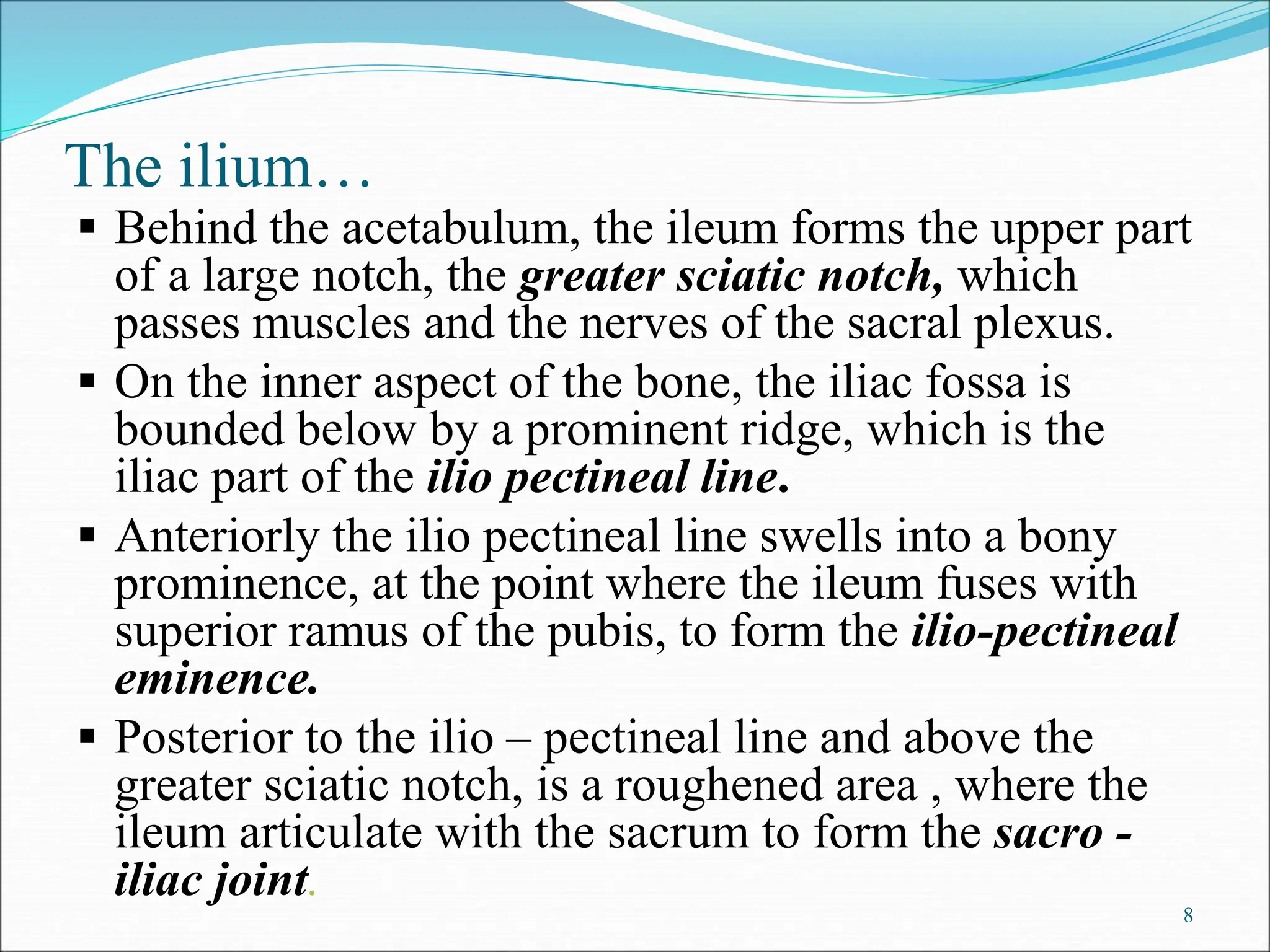Anatomy main part and detail ppt bre.ppt