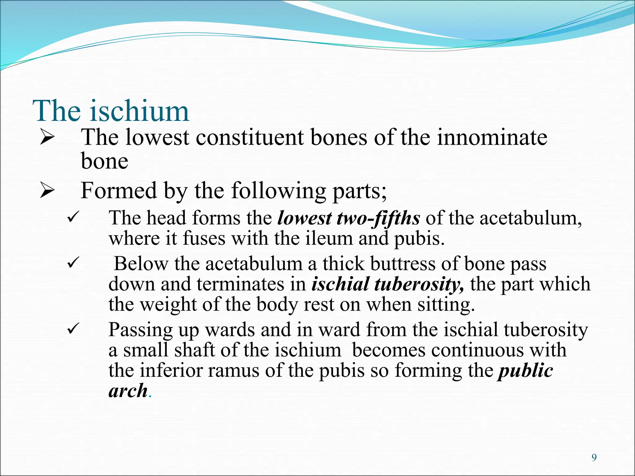Anatomy main part and detail ppt bre.ppt