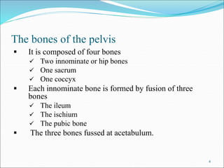 Anatomy main part and detail ppt bre.ppt