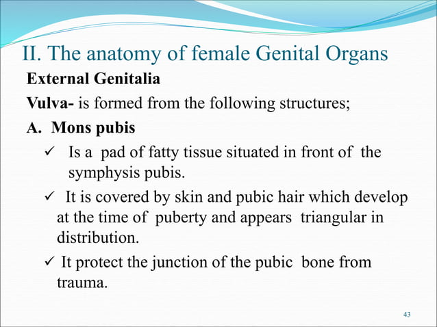 Anatomy main part and detail ppt bre.ppt