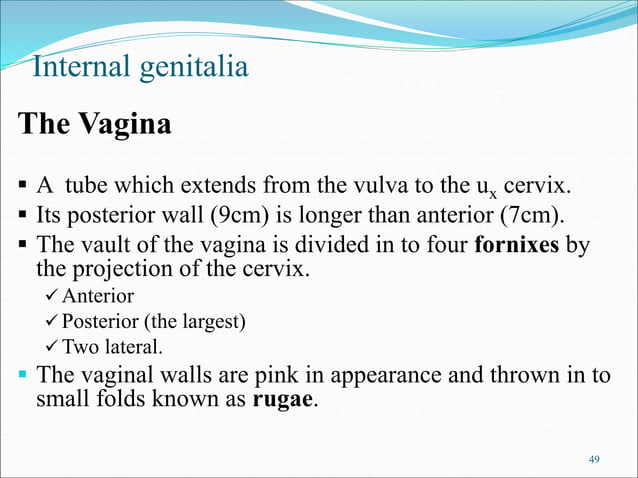 Anatomy main part and detail ppt bre.ppt