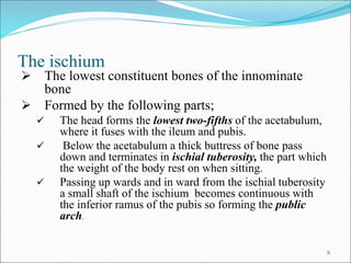 Anatomy main part and detail ppt bre.ppt