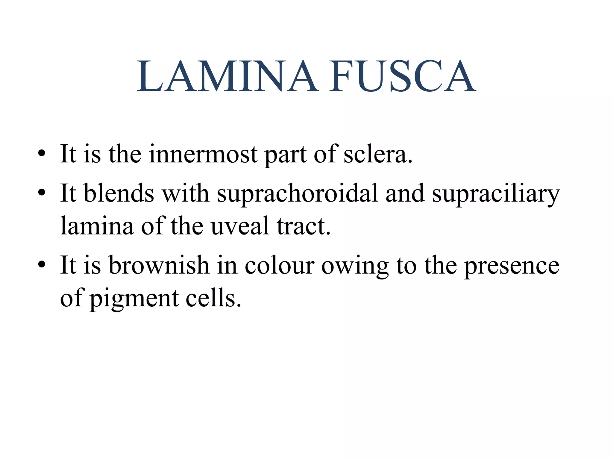 ANATOMY PPT CA-II.pptx