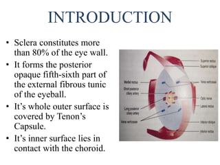 ANATOMY PPT CA-II.pptx