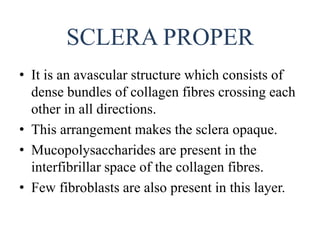 ANATOMY PPT CA-II.pptx