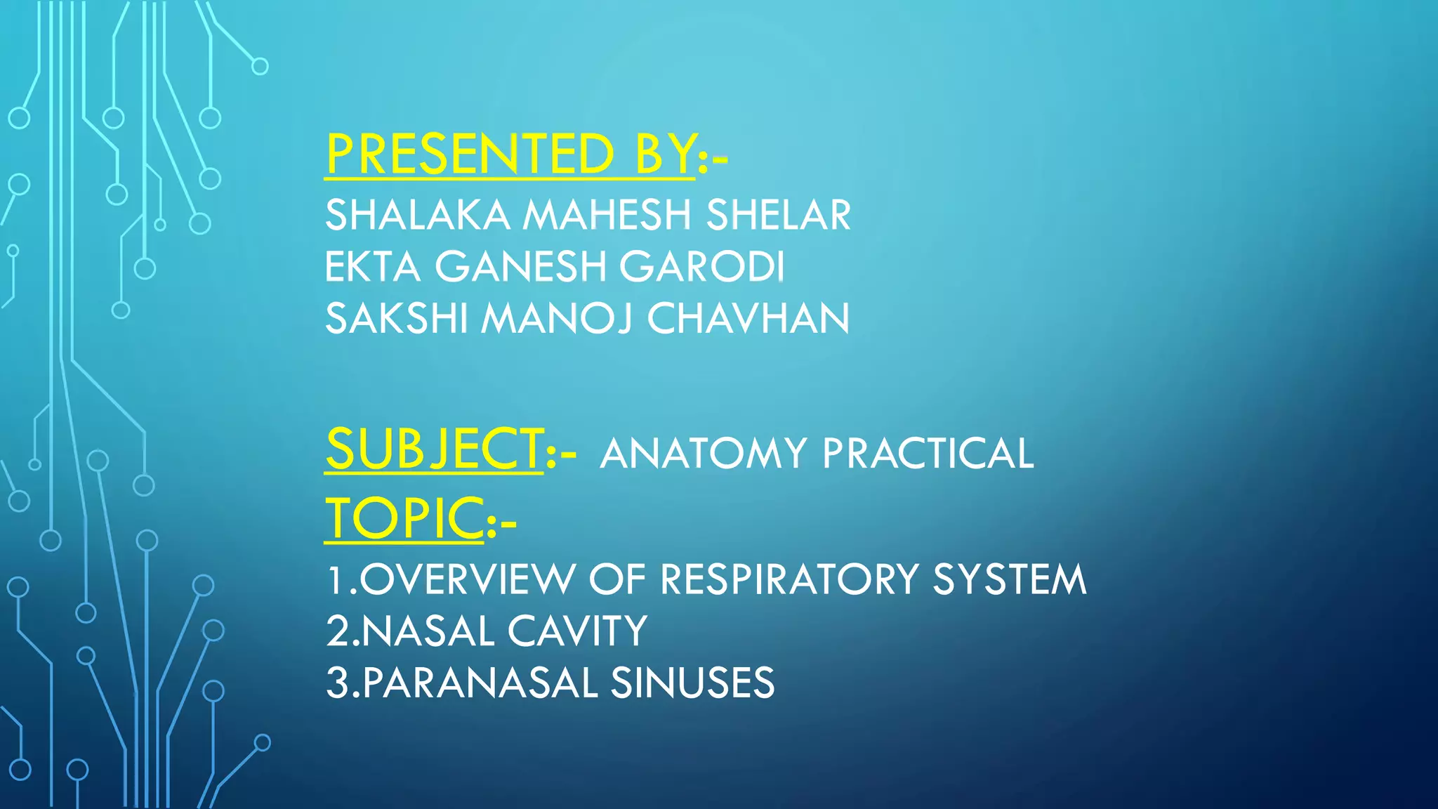 Anatomy practical.pdf
