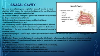 Anatomy practical.pdf
