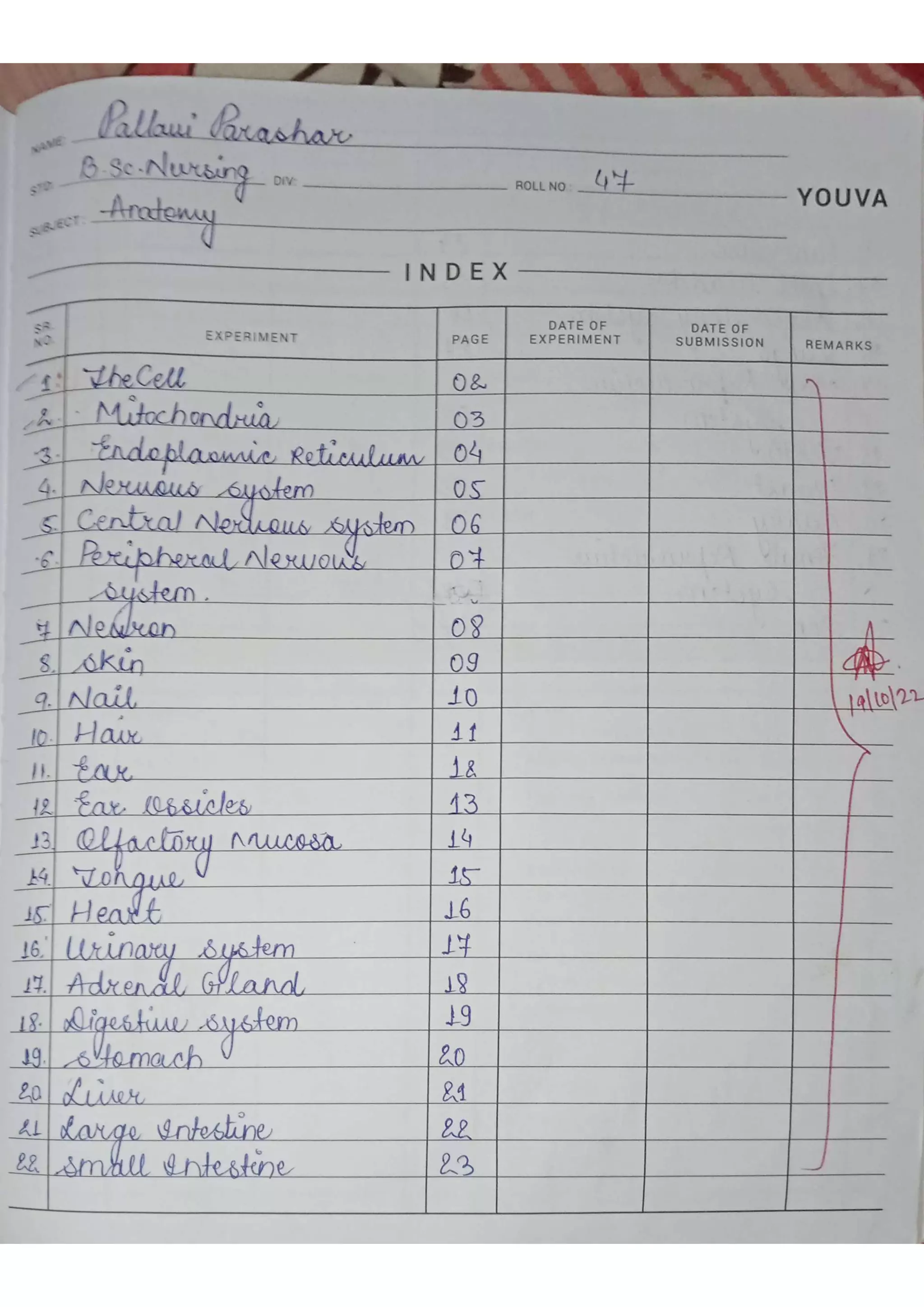 Anatomy practical copy | PDF