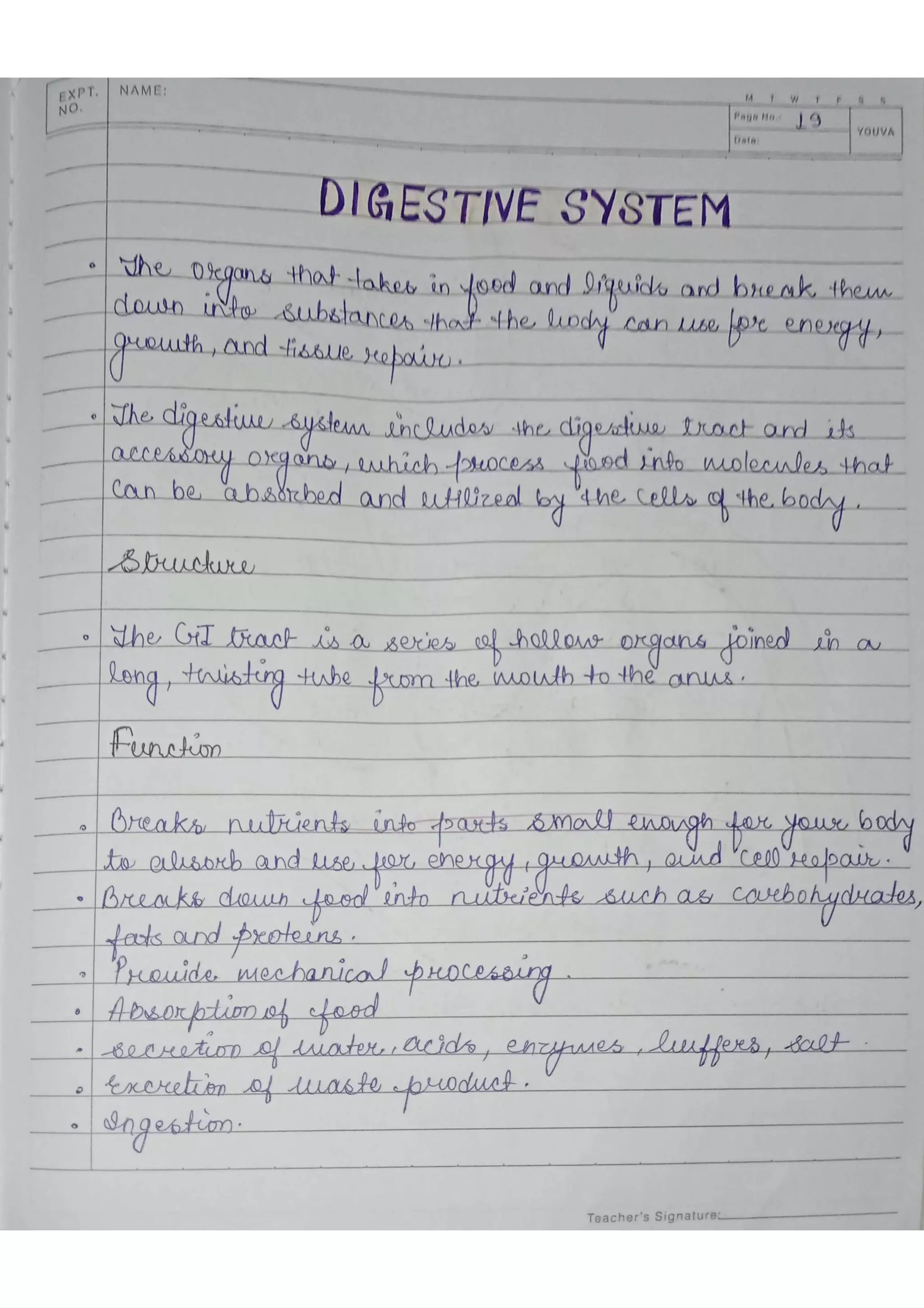 Anatomy practical copy | PDF