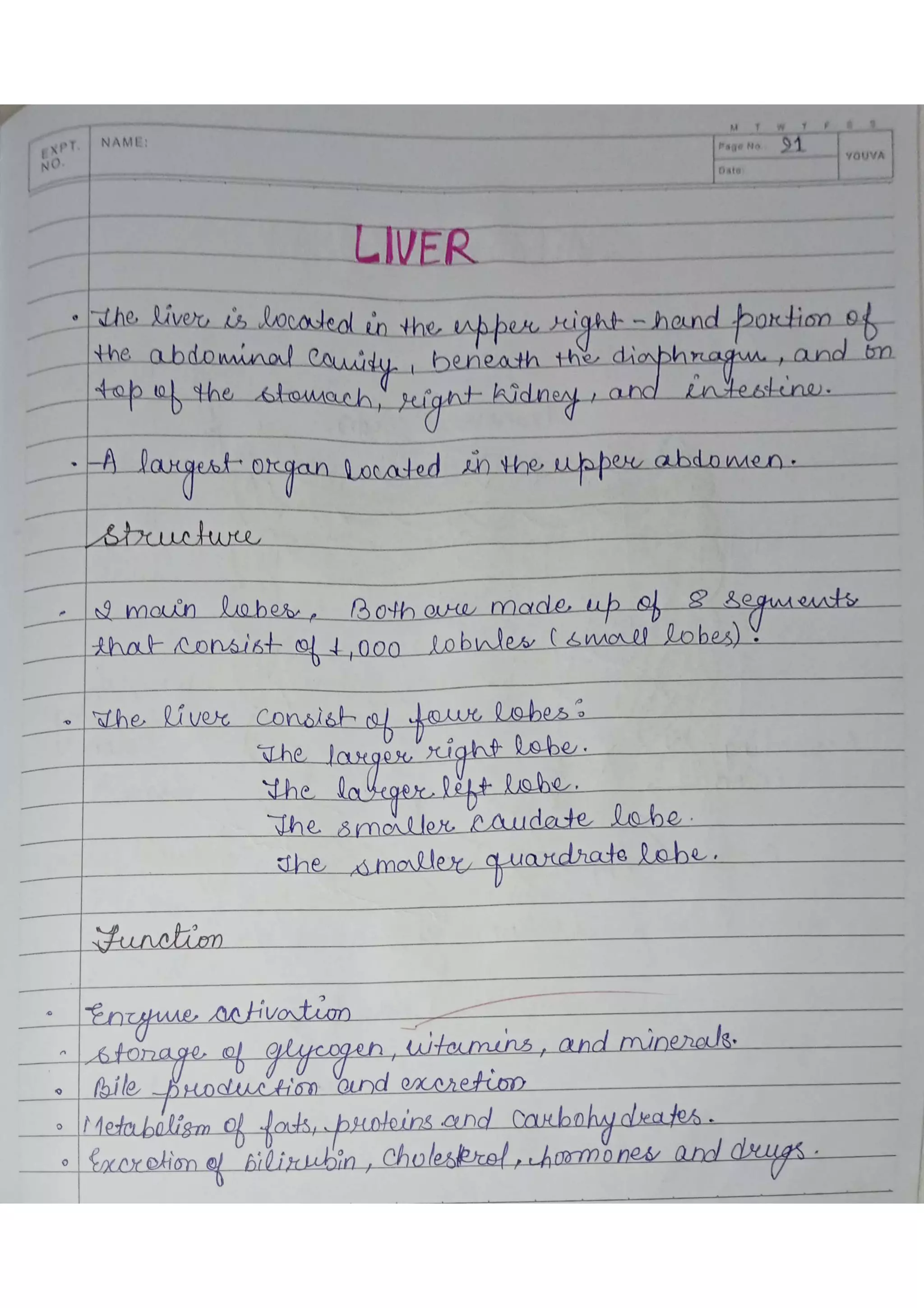 Anatomy practical copy | PDF