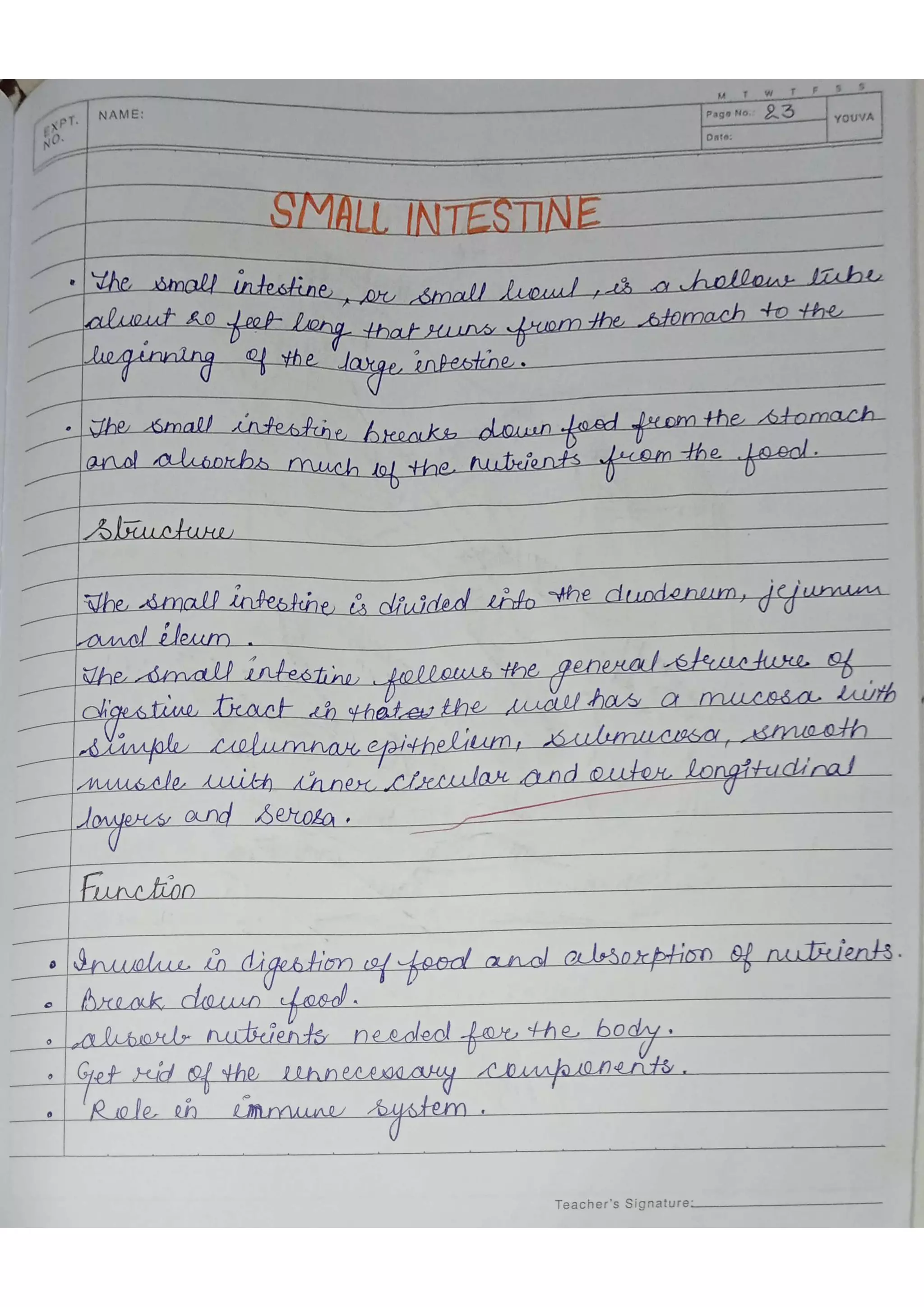 Anatomy practical copy | PDF