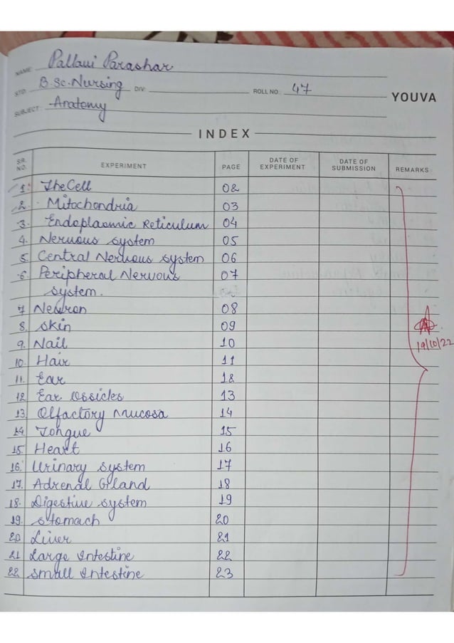 Anatomy practical copy | PDF