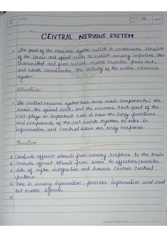 Anatomy practical copy | PDF
