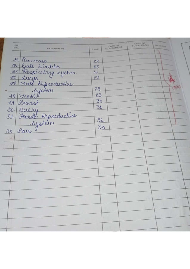 Anatomy practical copy | PDF