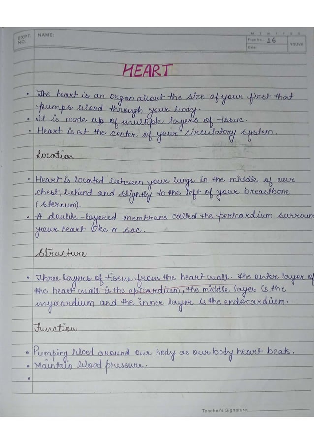 Anatomy practical copy | PDF