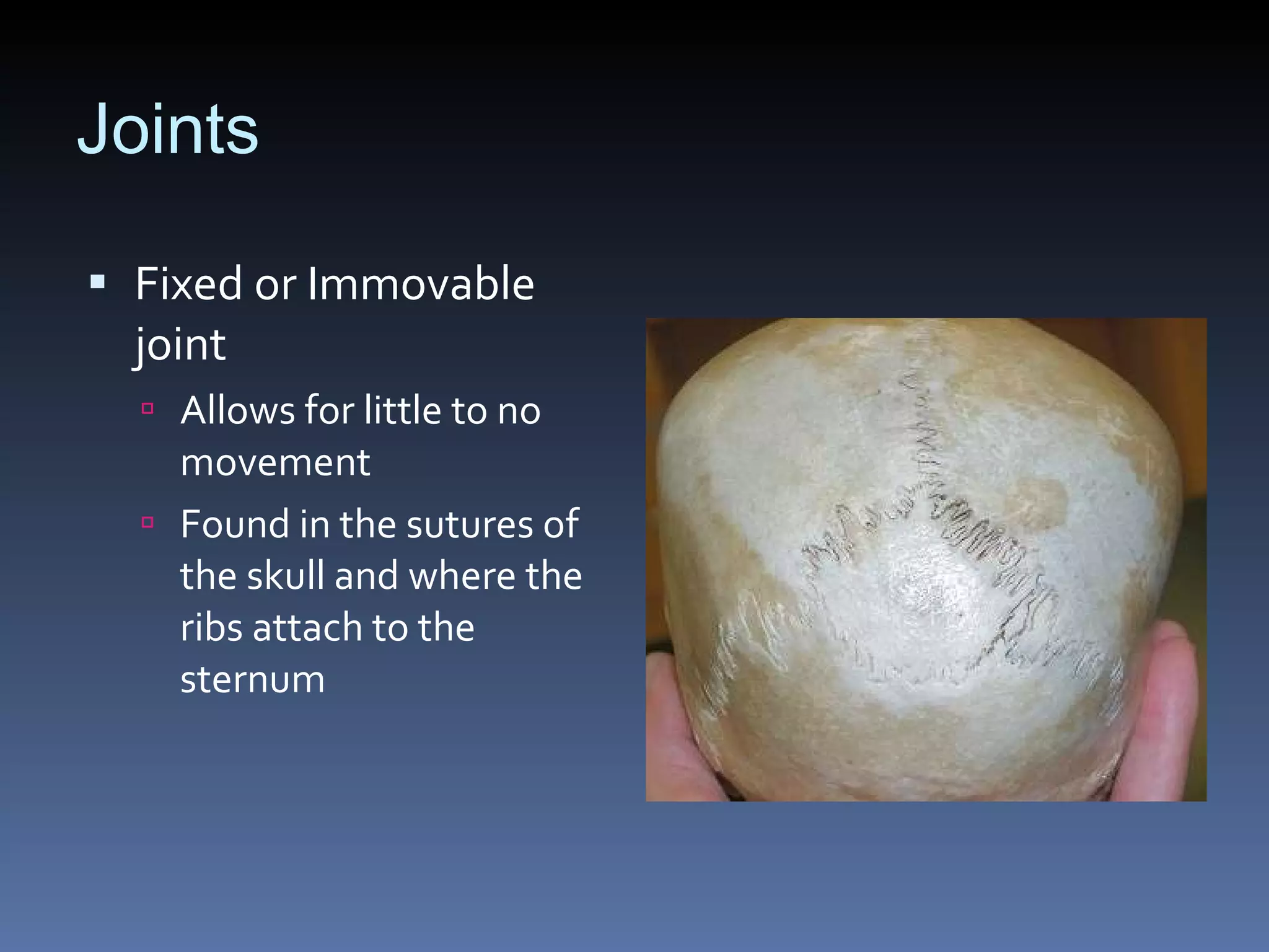 Science Olympiad: Anatomy | PPT
