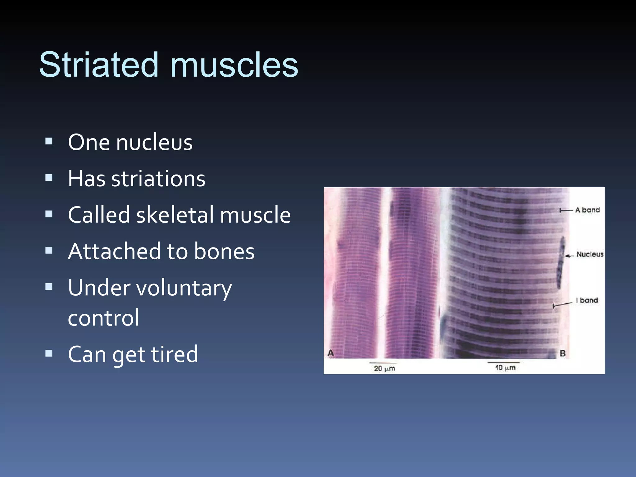 Science Olympiad: Anatomy | PPT