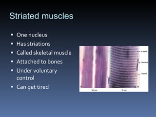 Science Olympiad: Anatomy | PPT
