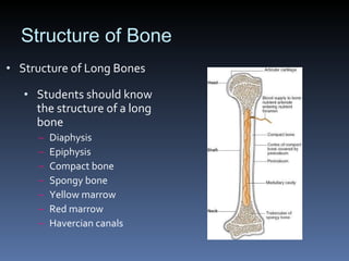 Science Olympiad: Anatomy | PPT