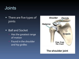 Science Olympiad: Anatomy | PPT