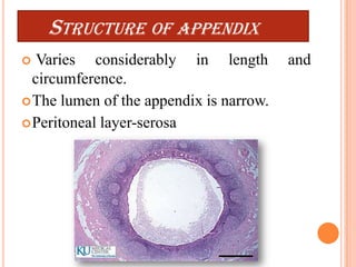Anatomy presentation | PPTX