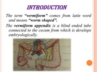 Anatomy presentation | PPTX