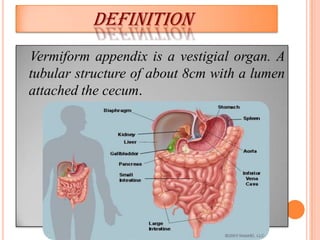 Anatomy presentation | PPTX | Digestive Disorders | Diseases and Conditions