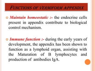 The Function Of Vermiform Appendix