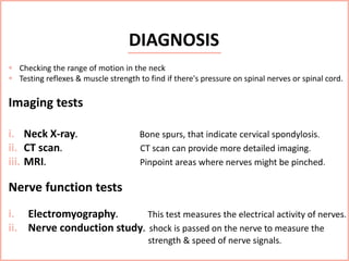 Cervical Vertebrae & cervical spondylosis | PPTX