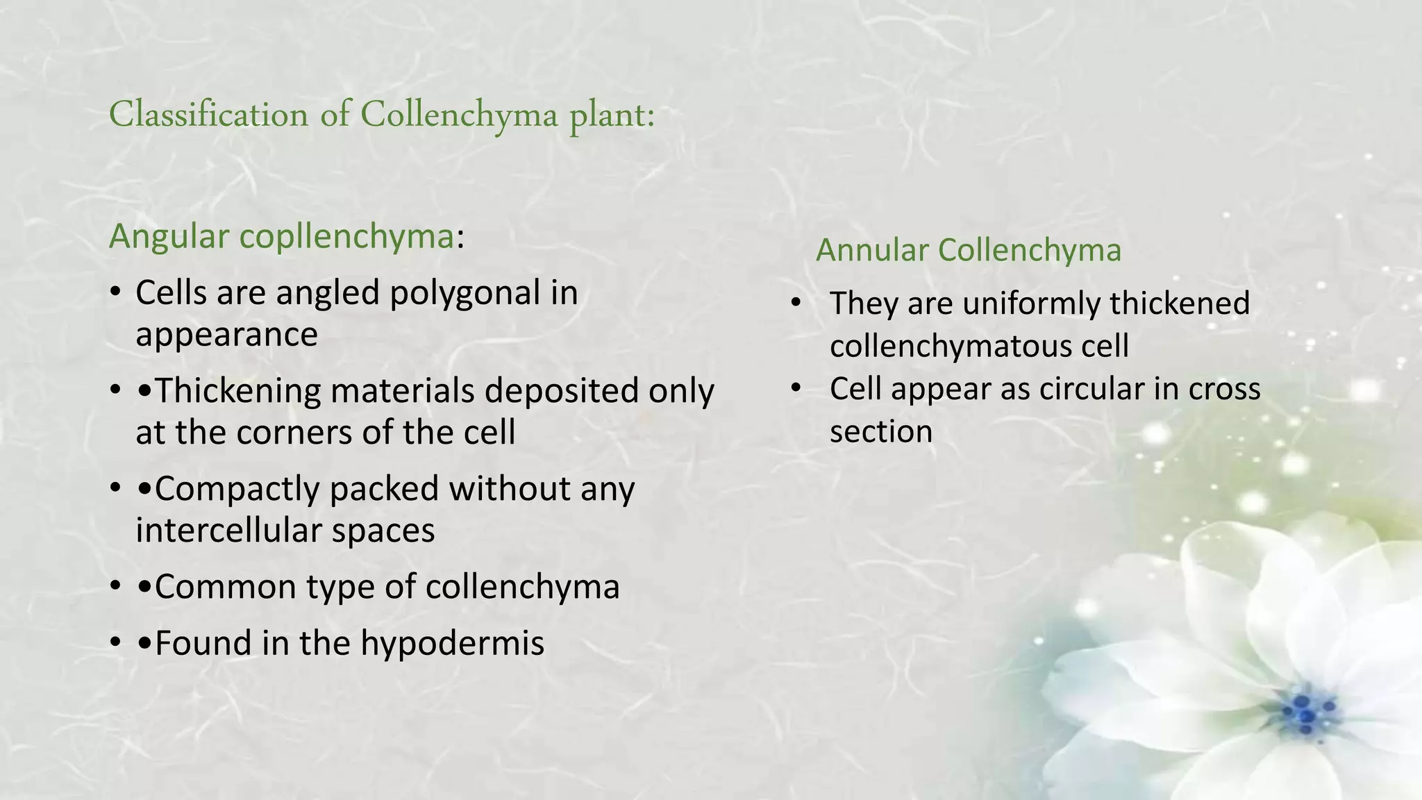 Anatomy ( simple permanent tissue inside the plant ) | PPTX