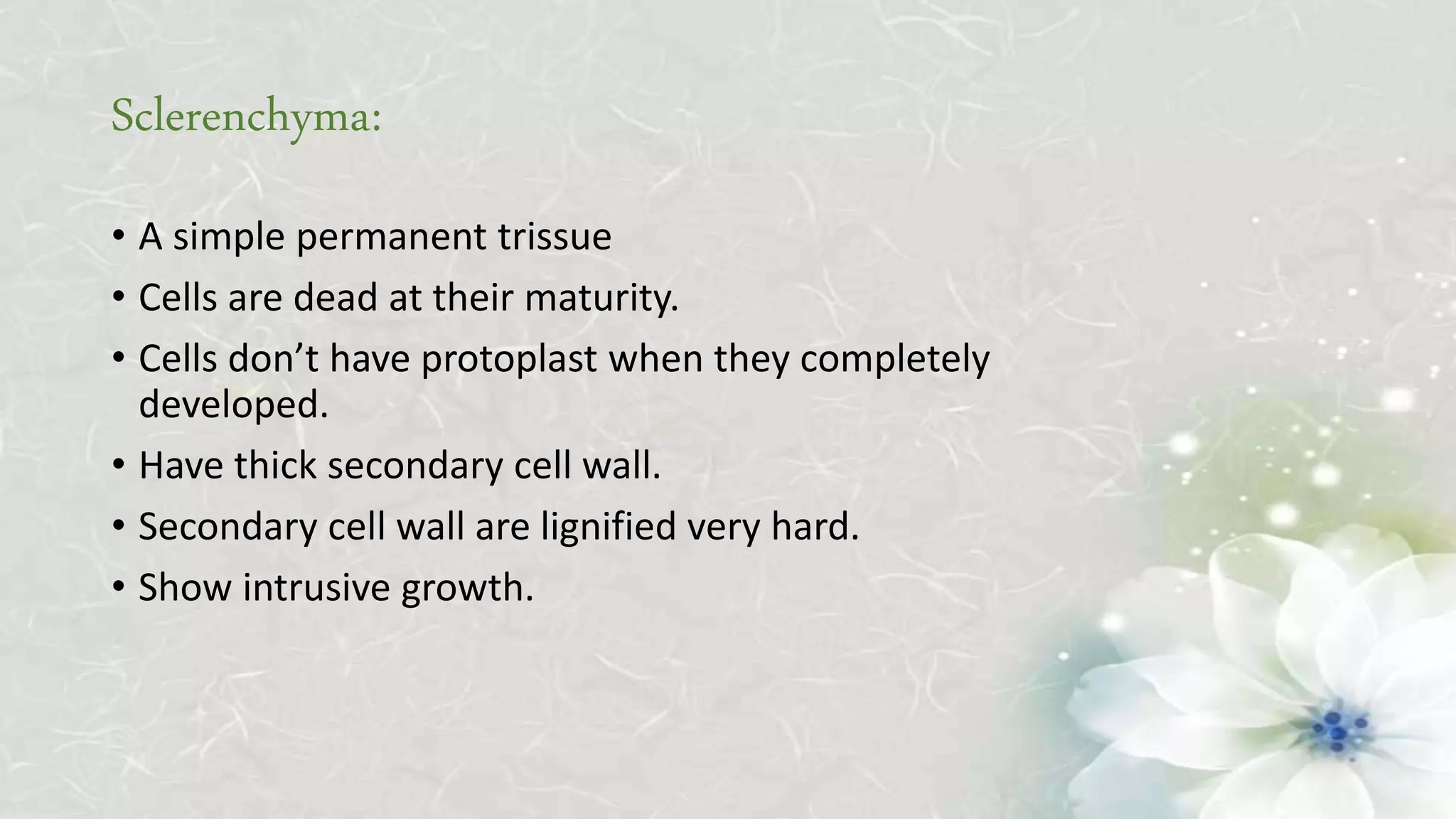 Anatomy ( simple permanent tissue inside the plant ) | PPTX